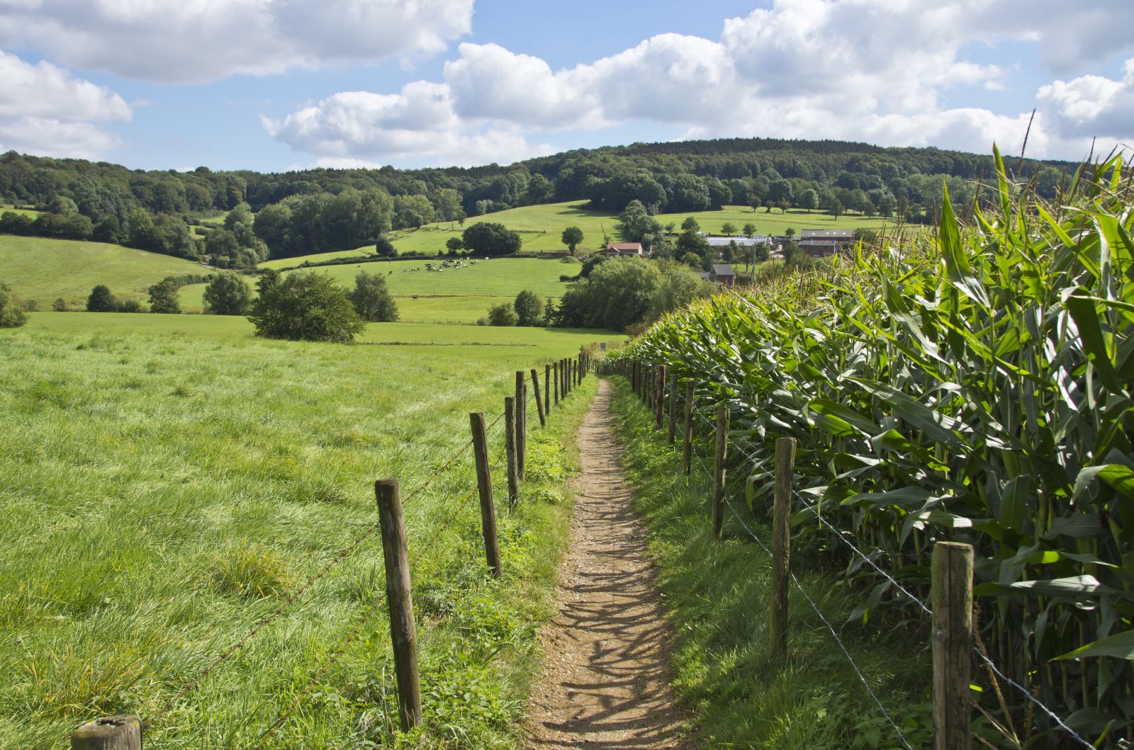 Schoolvakanties regio zuid 2025-2026 – Medilex Onderwijs