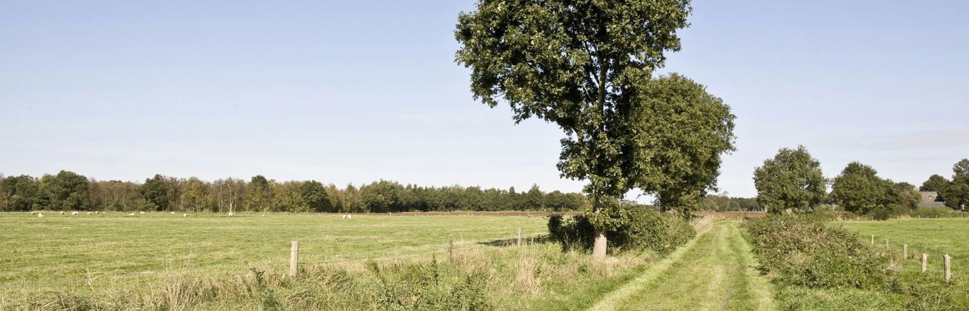 Schoolvakanties regio noord 2025-2026 – Medilex Onderwijs